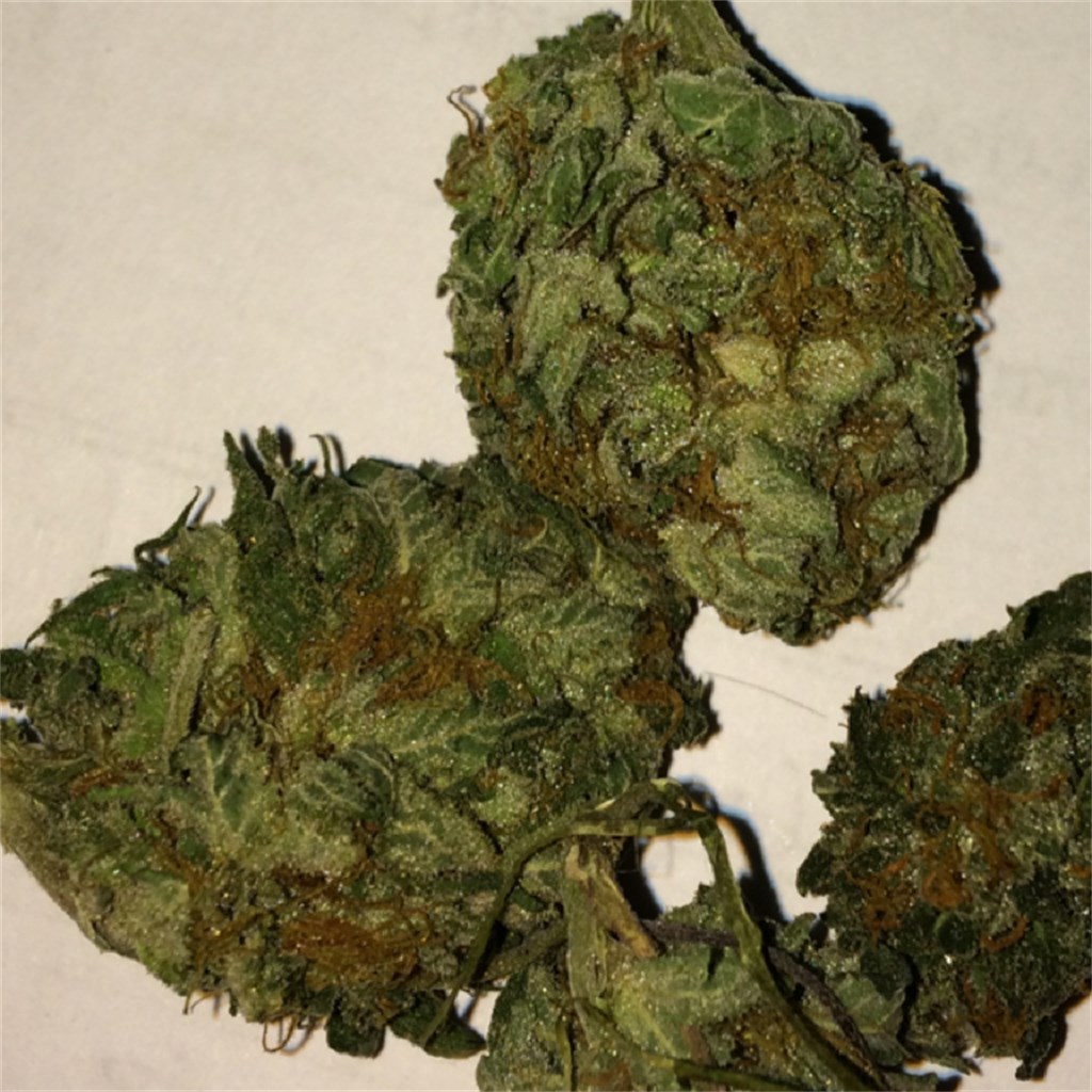 God Bud – Canadian Indica | Buy Cannabis Online Canada - Maple Buds Canada